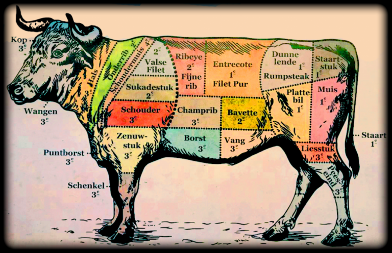 Ons Gamma - Slager Alwin